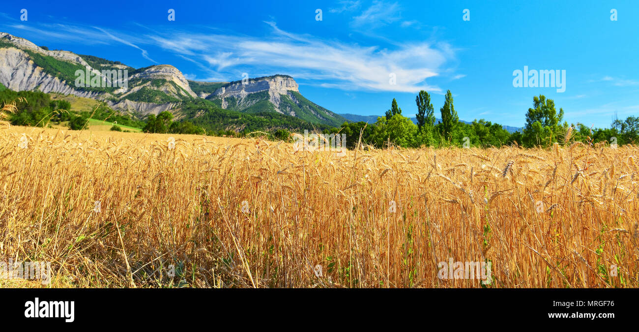 Sunlight france field hi-res stock photography and images - Alamy