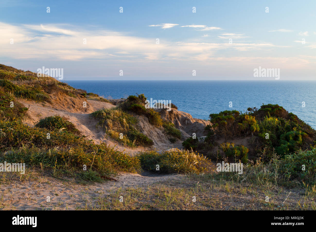 Trails line the bluffs above the ocean at Point Dume State Beach Stock ...