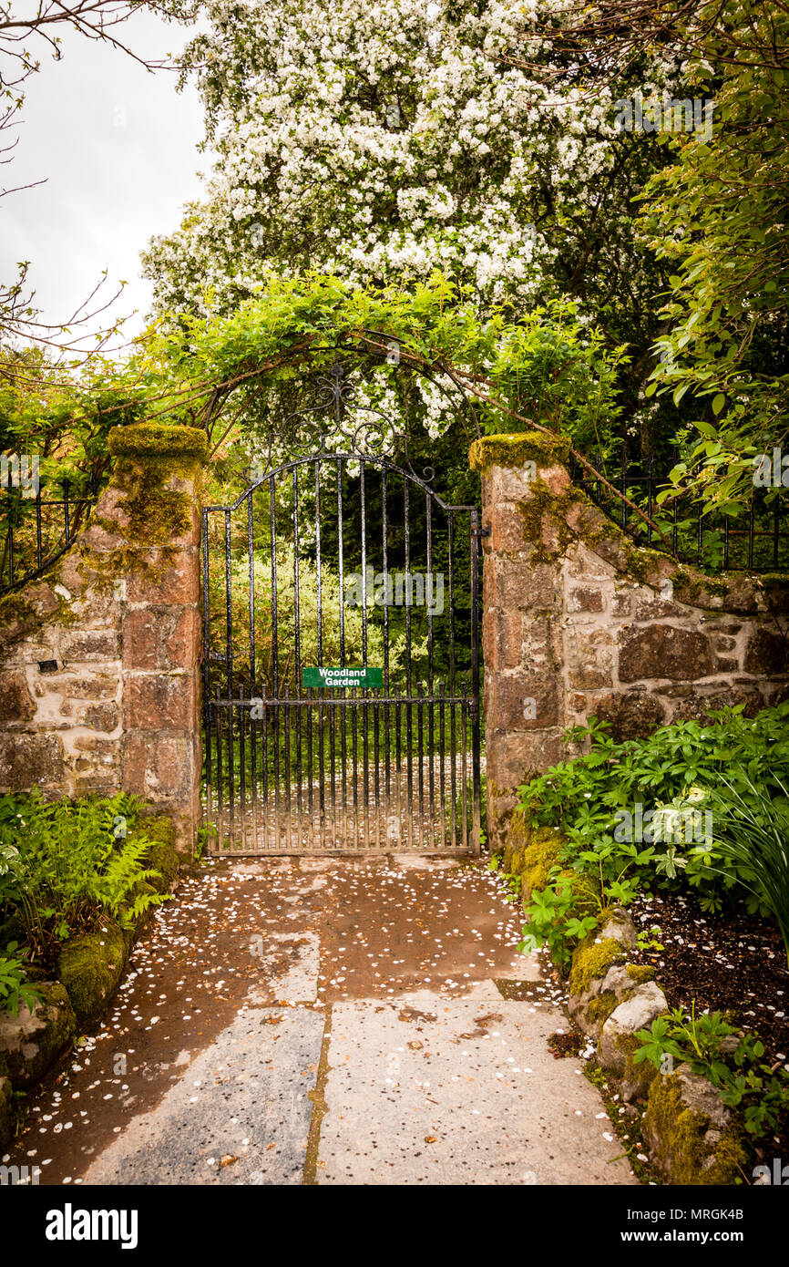 Old, ancient gate in the beautiful garde Stock Photo - Alamy