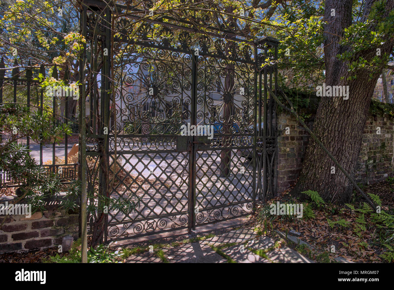 Historic charleston iron gate hi-res stock photography and images - Alamy