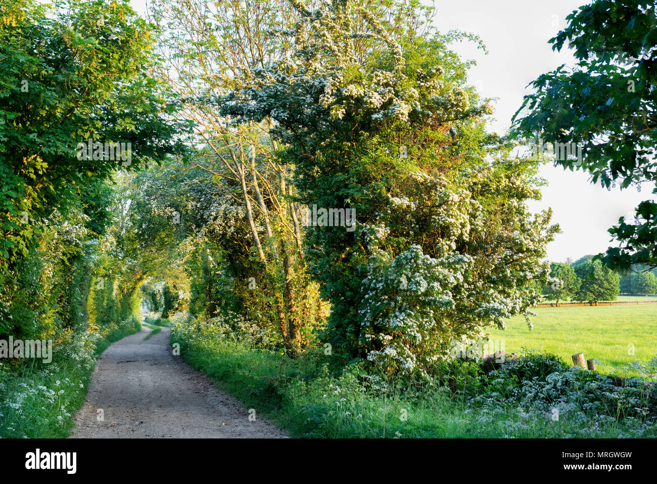 Lower swell, cotswolds hi-res stock photography and images - Alamy