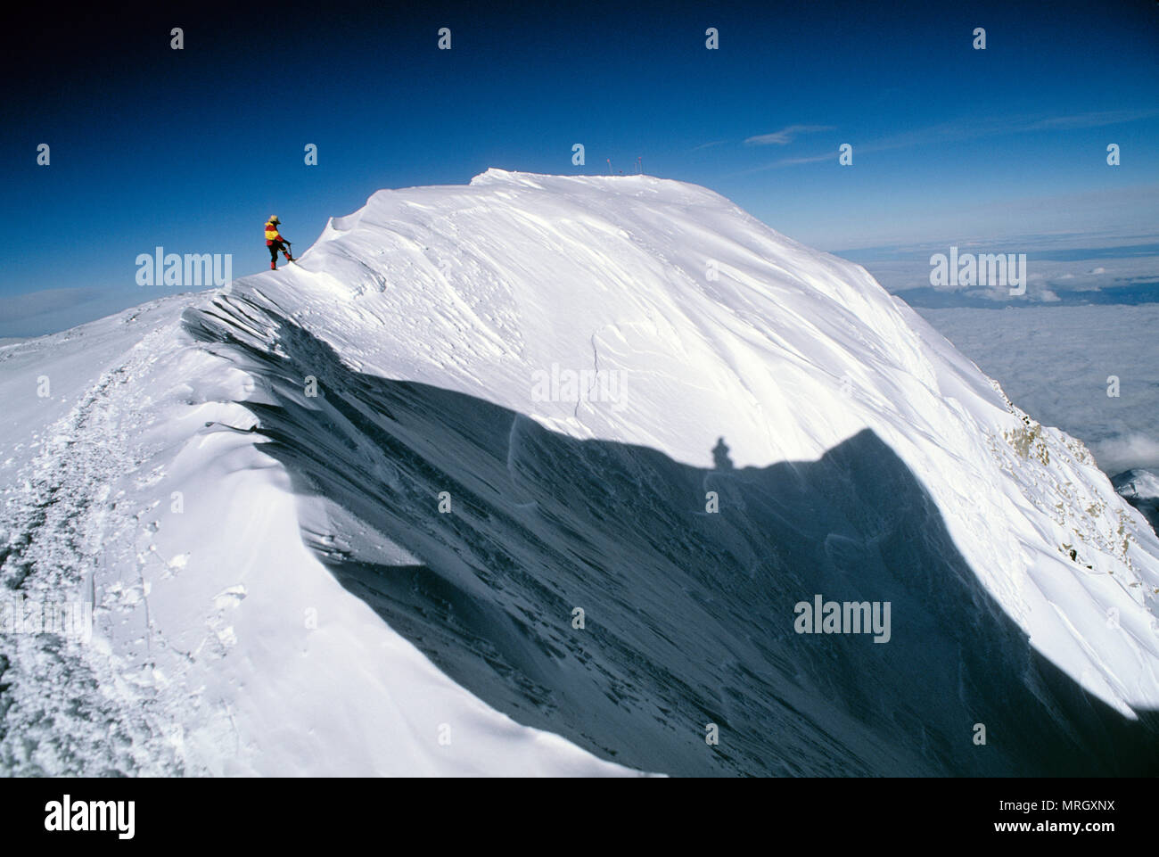 Mike Nelson nearing the summit of Mt Denali Stock Photo - Alamy
