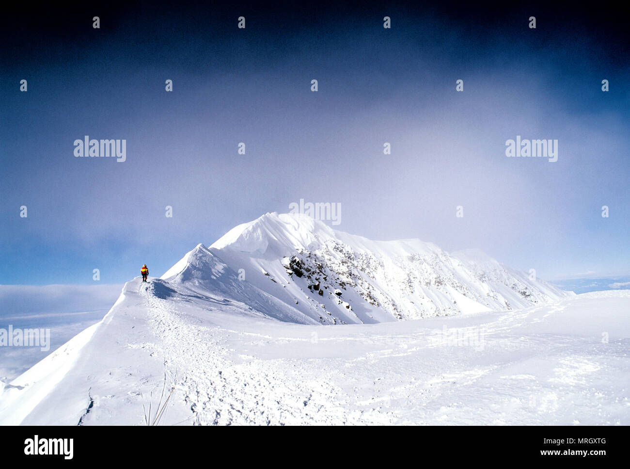 Mike Nelson nearing the summit of Mt Denali Stock Photo - Alamy