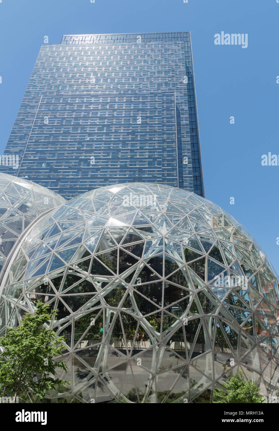 Amazon spheres hi-res stock photography and images - Alamy