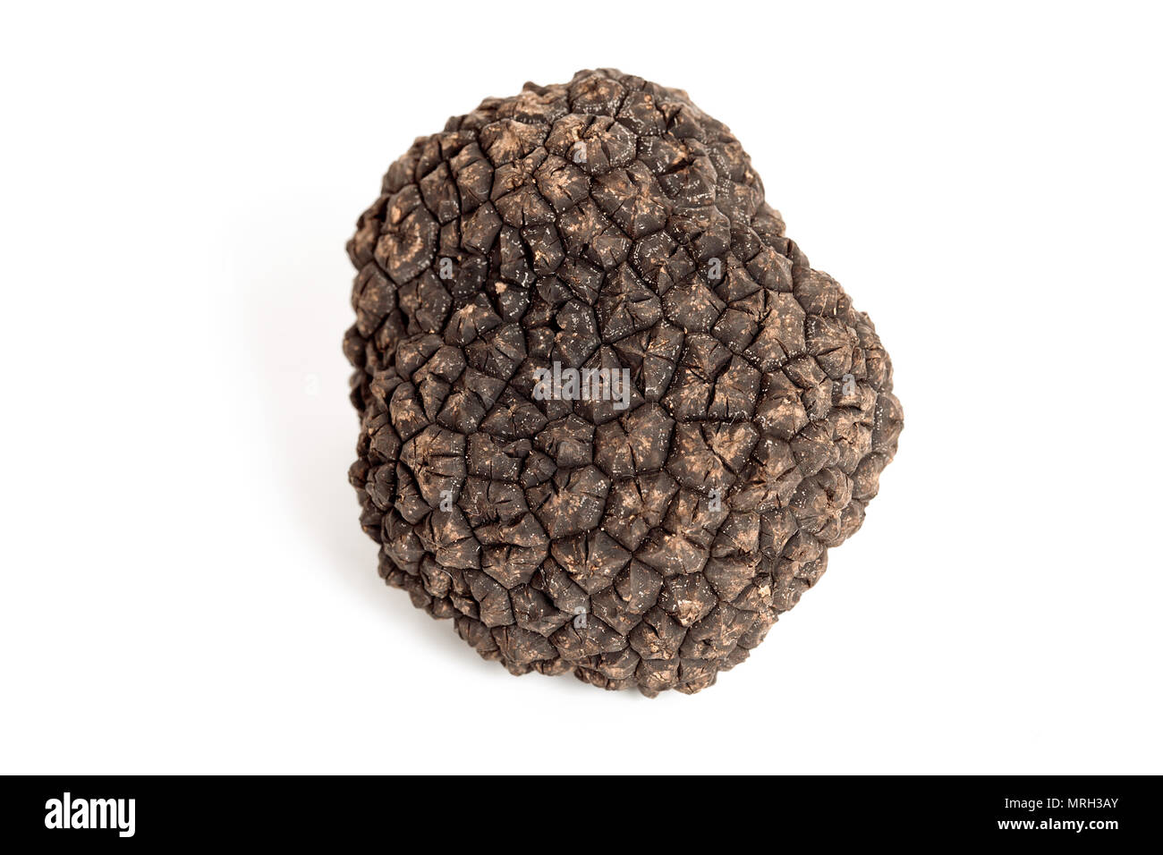 Large black truffle Stock Photo - Alamy