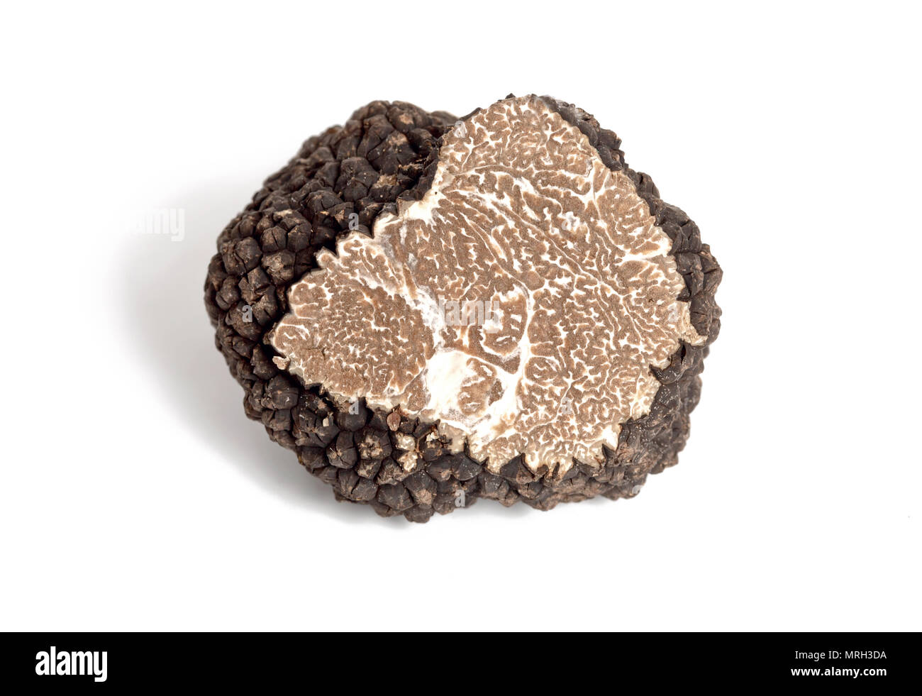 Large black truffle Stock Photo - Alamy