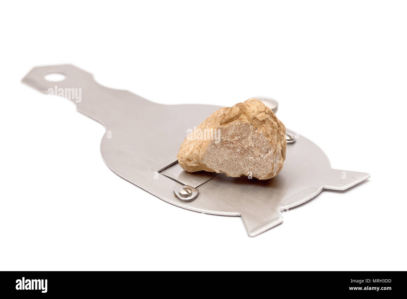 Large white truffle on a slicer isolated on white Stock Photo - Alamy