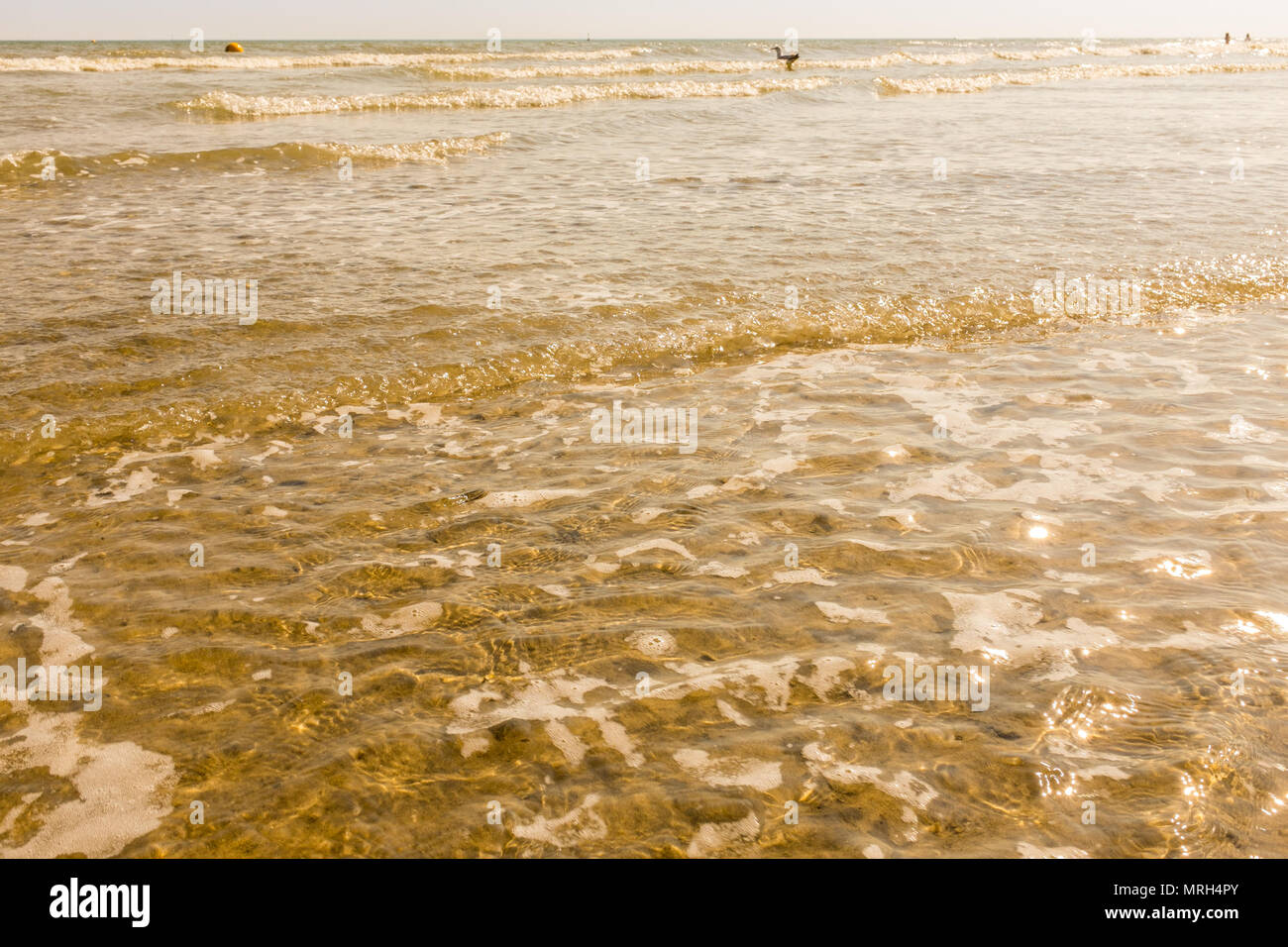 The English Channel - The Tide Comes In At Shoreham Beach, Sussex ...