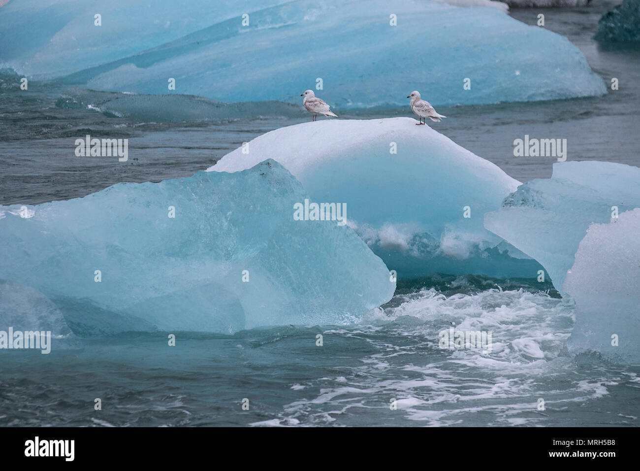 Floating ice rafts hi-res stock photography and images - Alamy