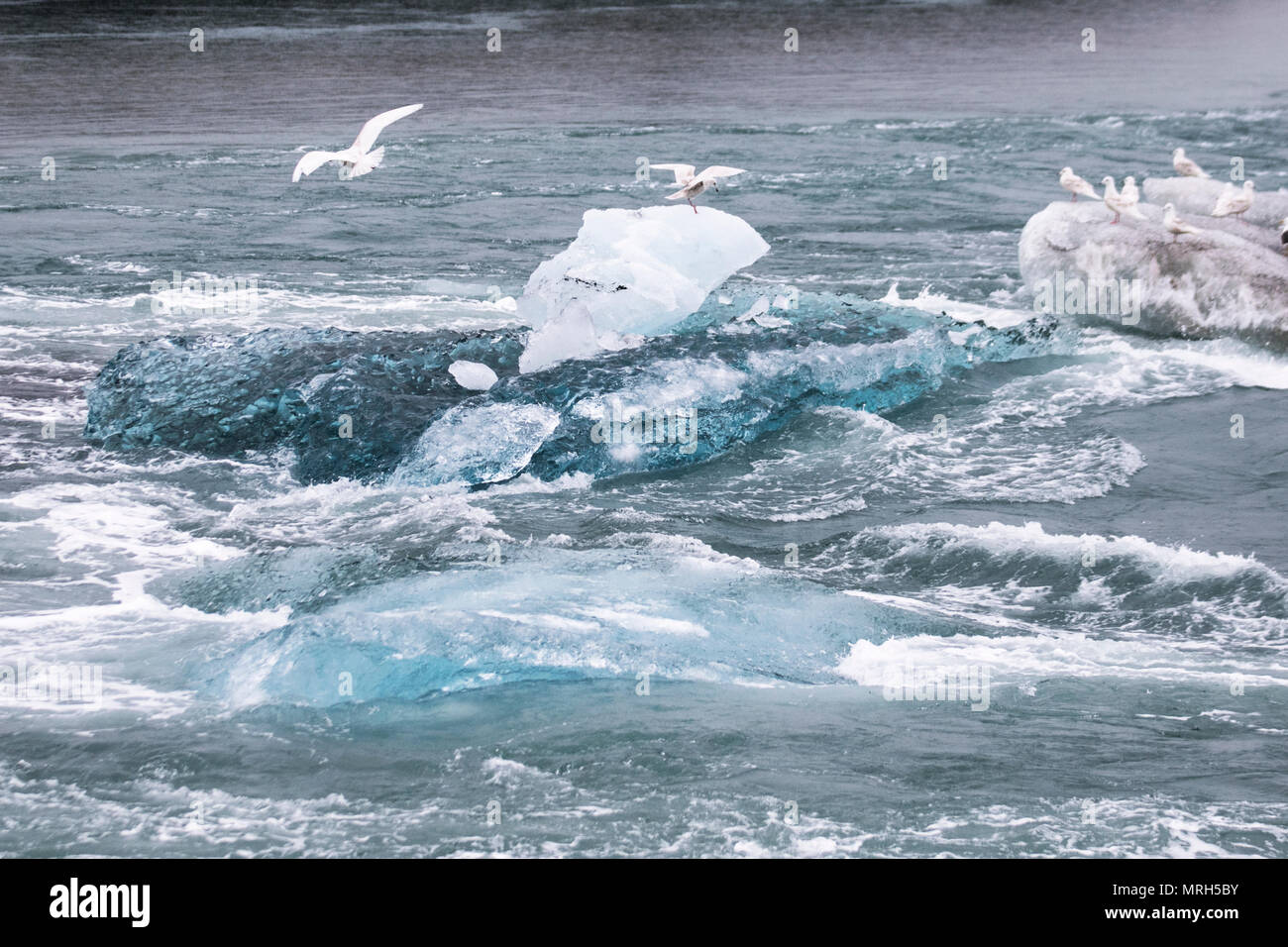 Ice floes at the Jokulsarlon glacier lagoon located at ...