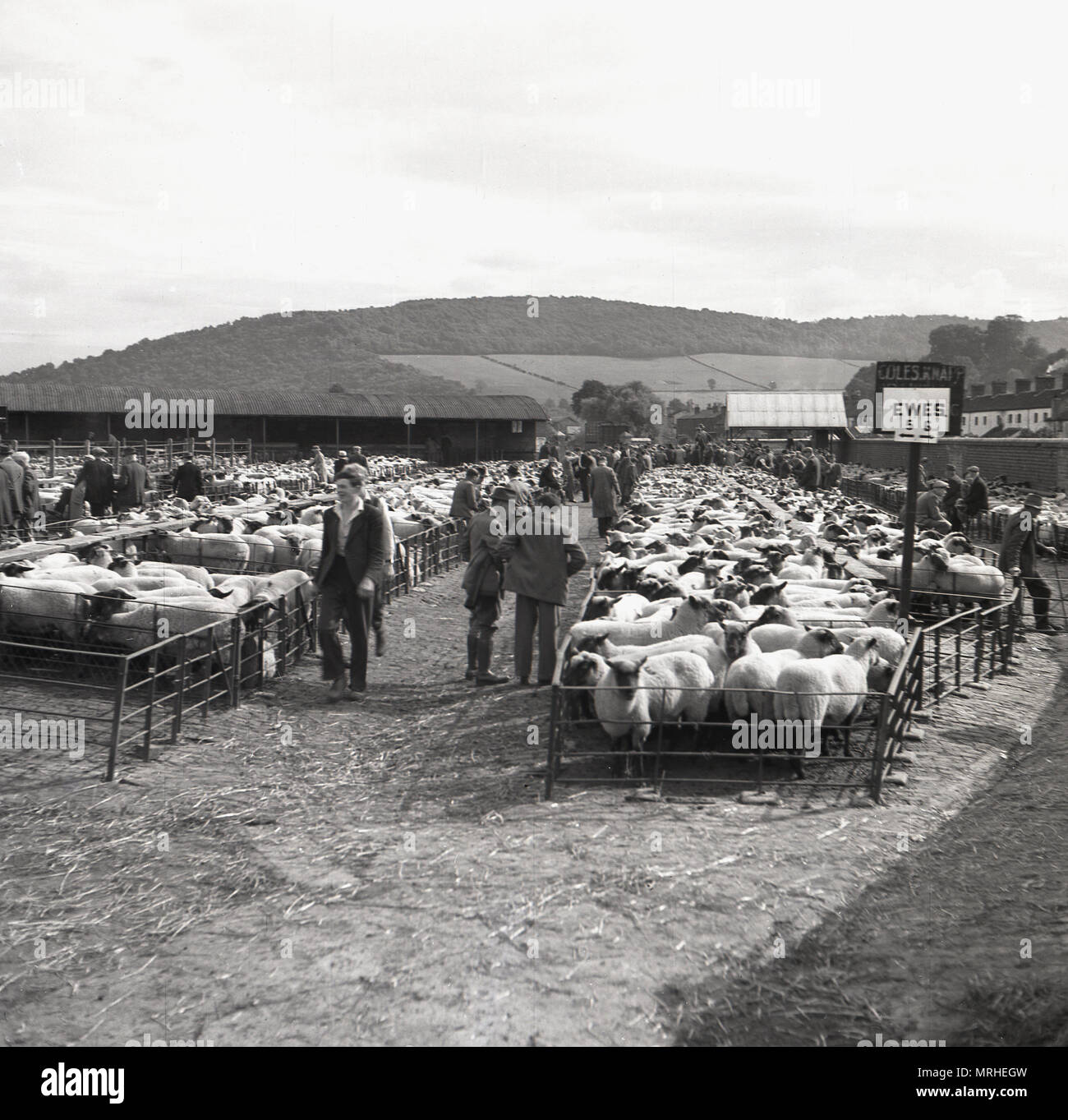 Farming 1950s Uk High Resolution Stock Photography and Images - Alamy