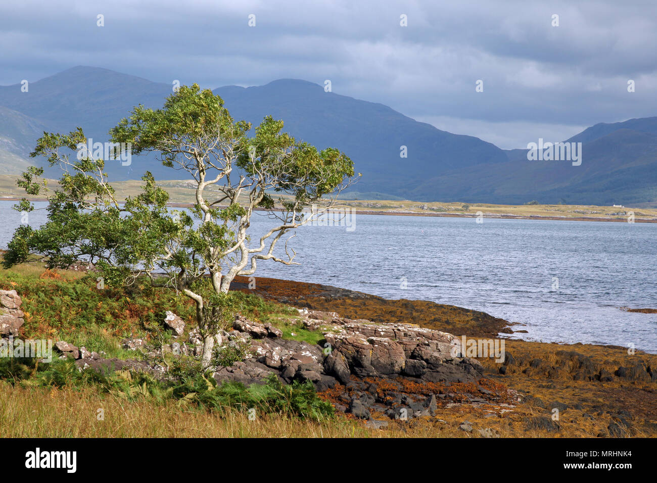 Scottish landscape images hi-res stock photography and images - Alamy