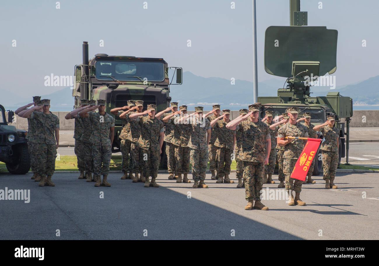 U.S. Marines render a salute to U.S. Marine Corps Capt. Brian Lynch ...