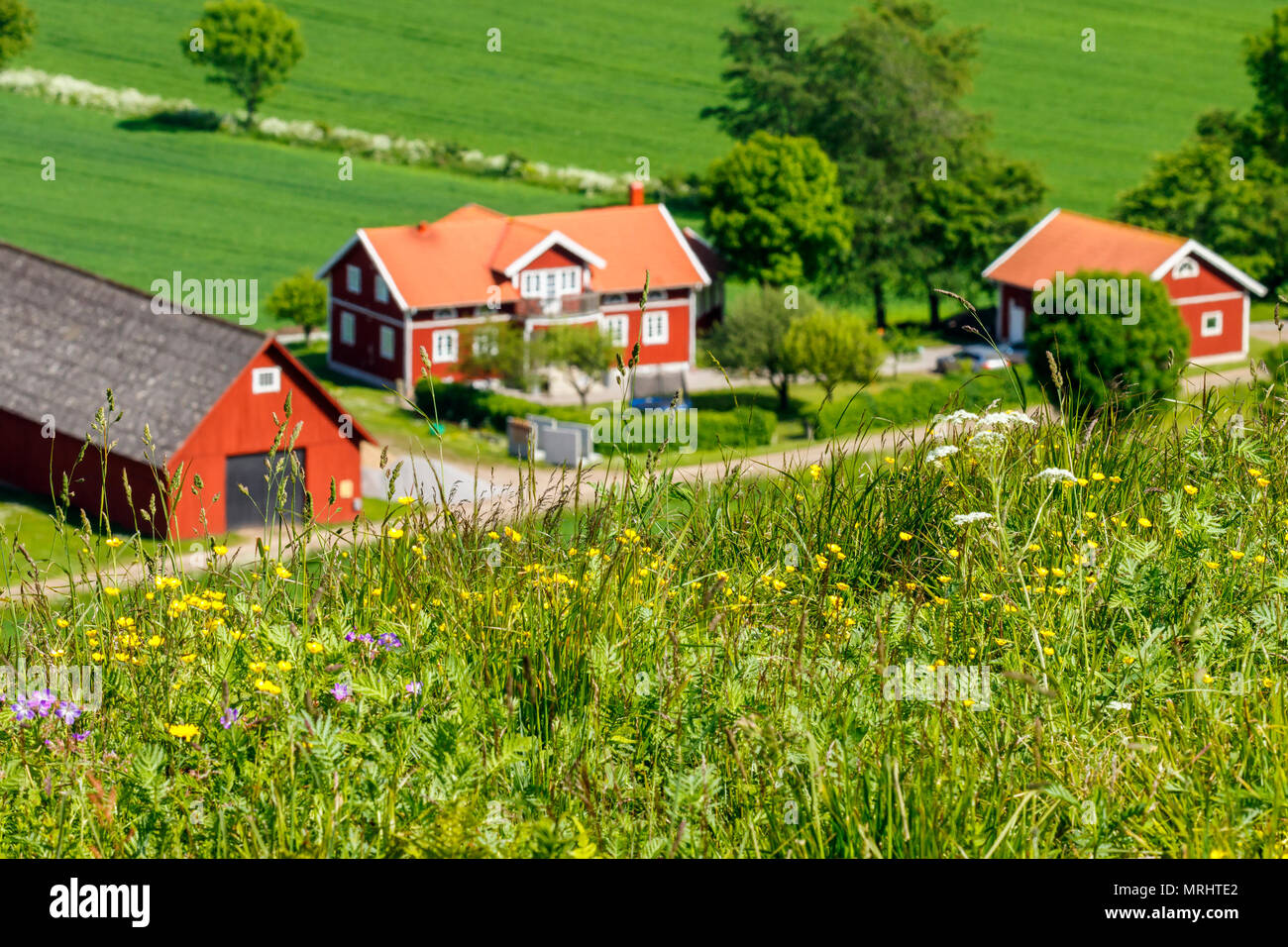 Summer farm background hi-res stock photography and images - Alamy