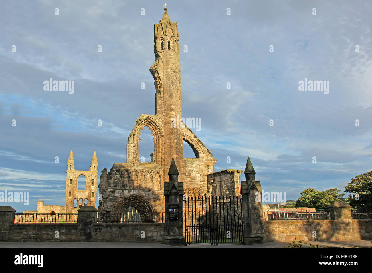Ruin of St Andrews Cathedral in St Andrews Scotland Stock Photo - Alamy