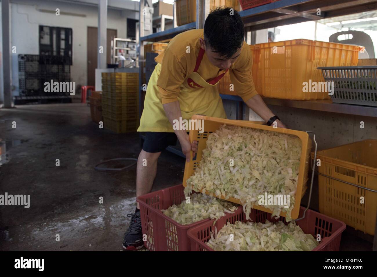 170618-N-PF593-116 SINGAPORE (June 18, 2017) Aviation Maintenance ...