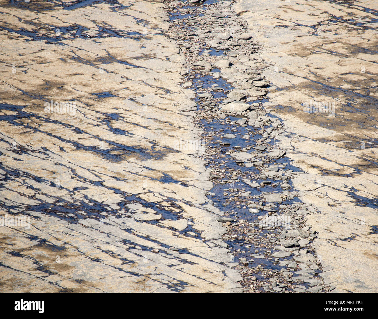 Fossil hunters beach hi-res stock photography and images - Alamy