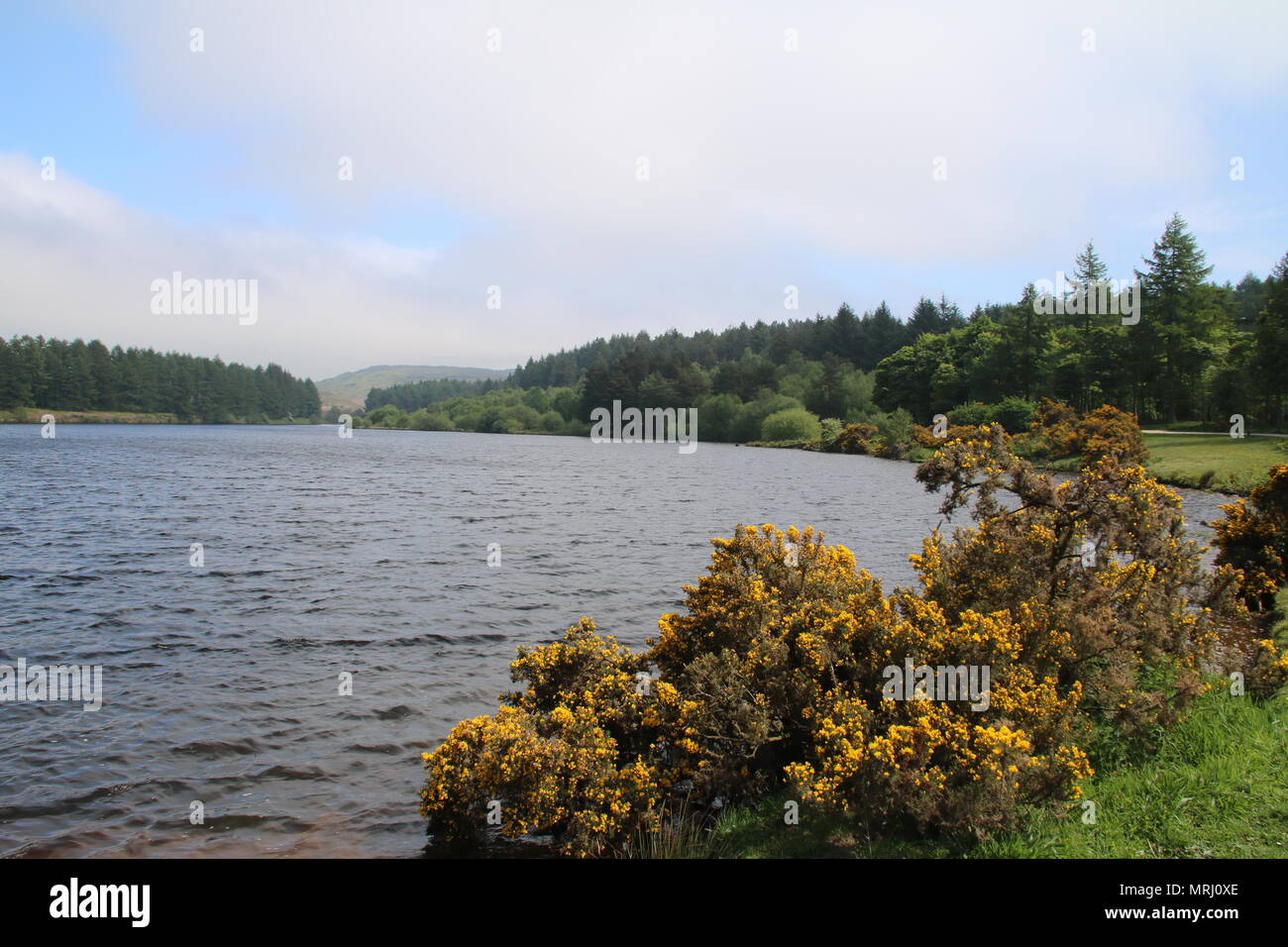 Cod beck reservoir, hi-res stock photography and images - Alamy