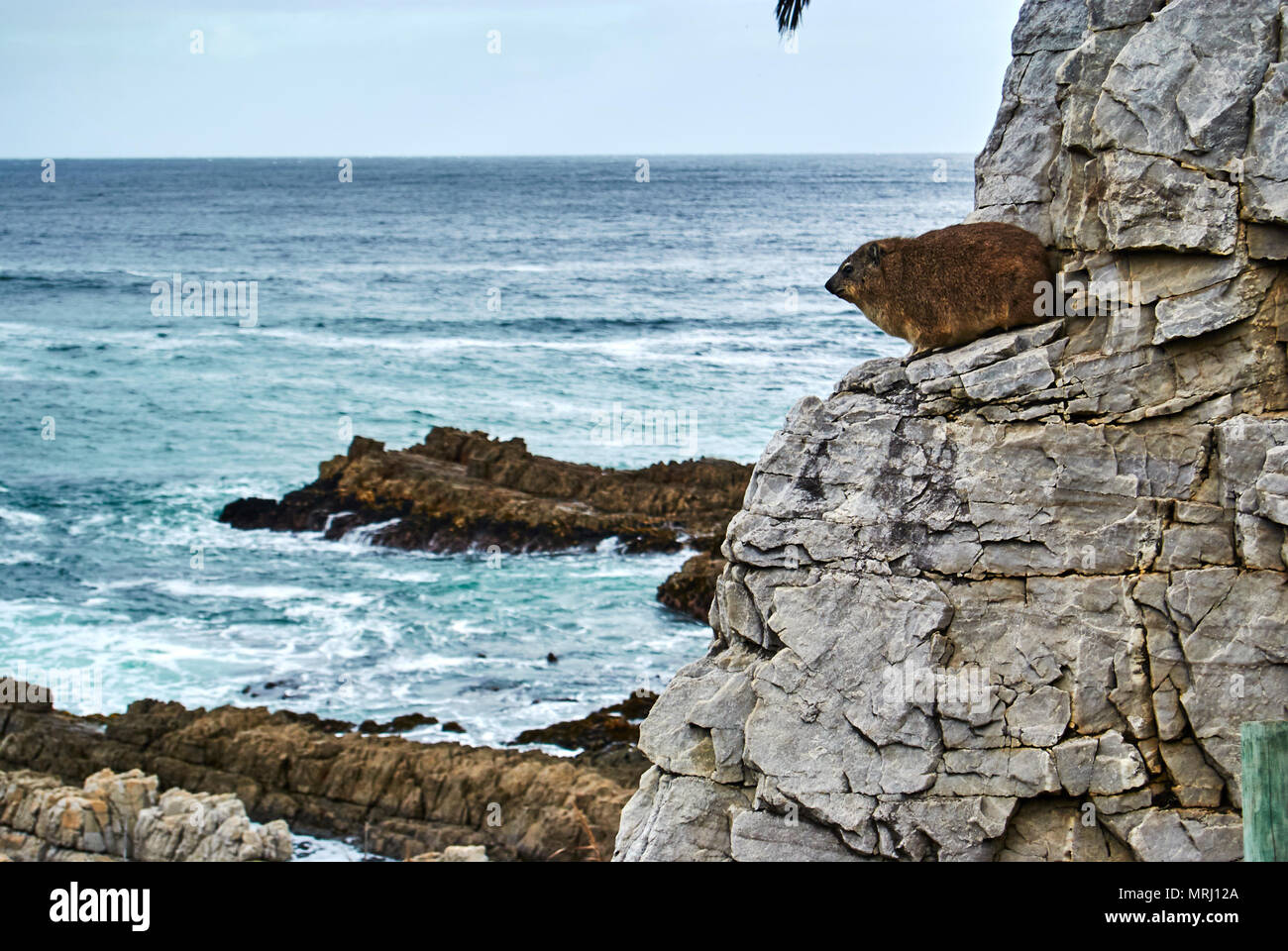 Name map vector hi-res stock photography and images - Alamy