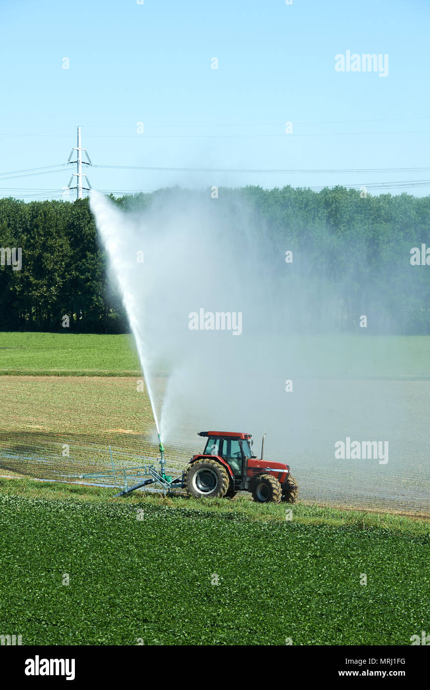 Flood irrigation corn hi-res stock photography and images - Alamy