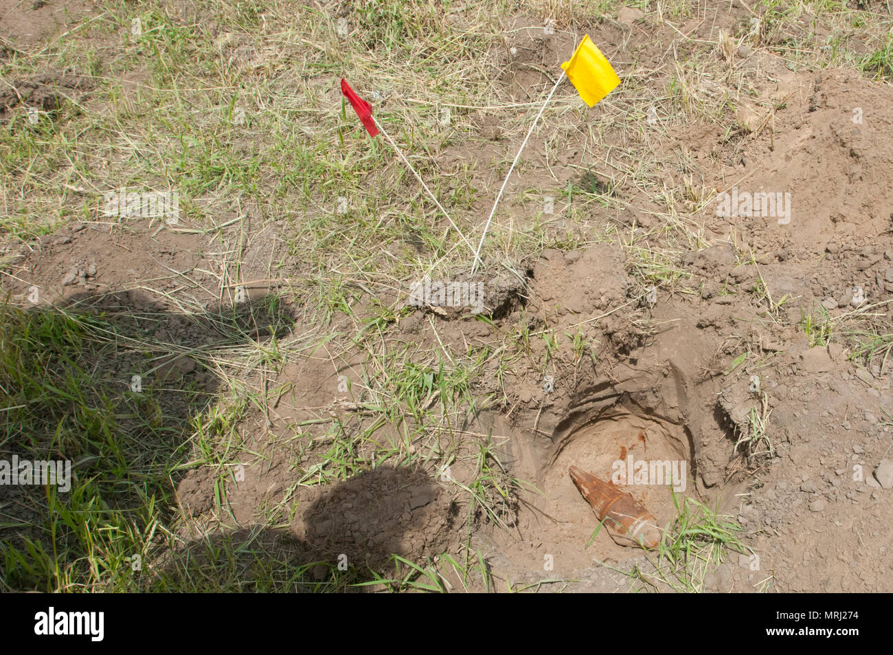 Us colored infantry flags hi-res stock photography and images - Alamy
