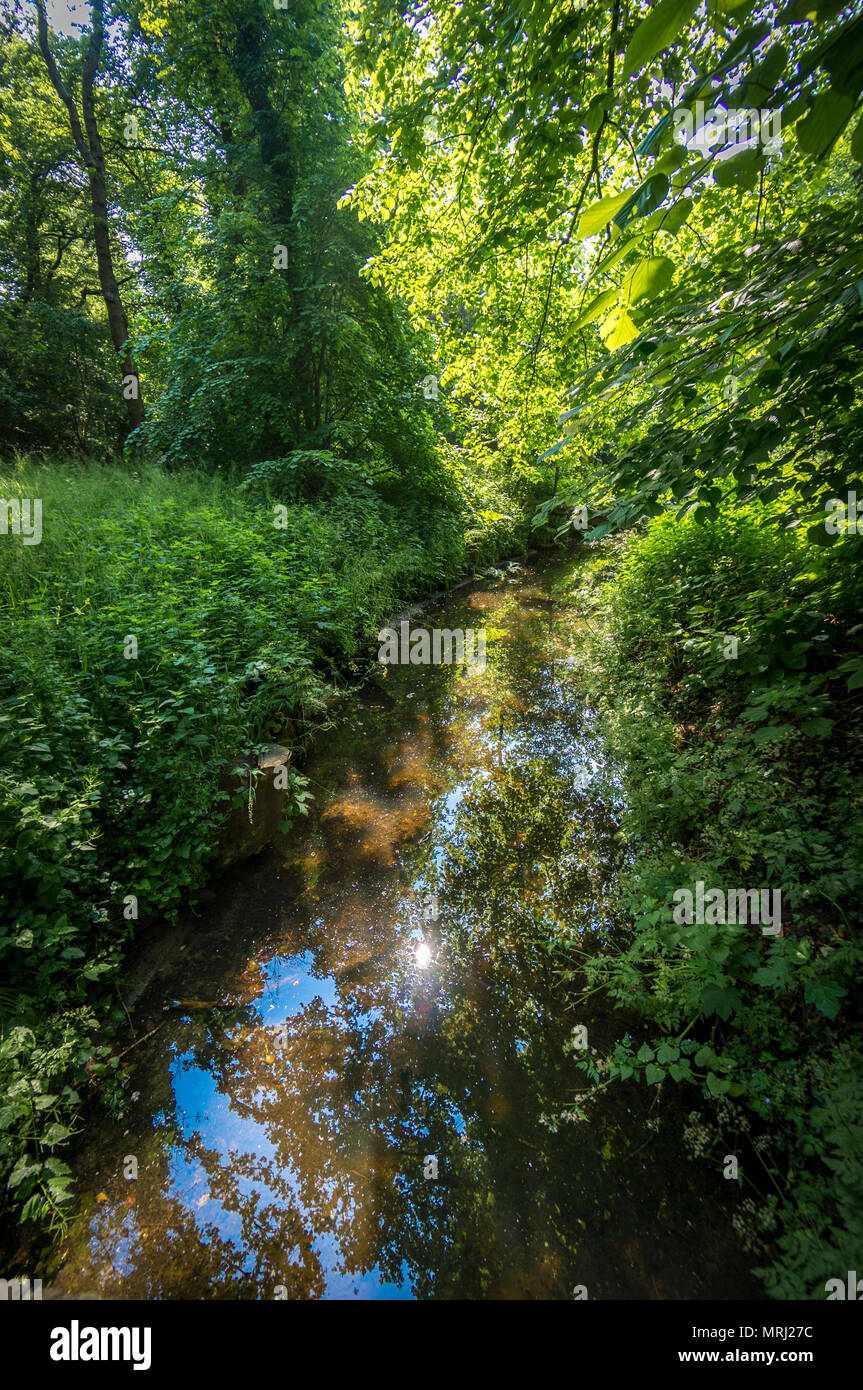 De Haagse beek Stock Photo - Alamy