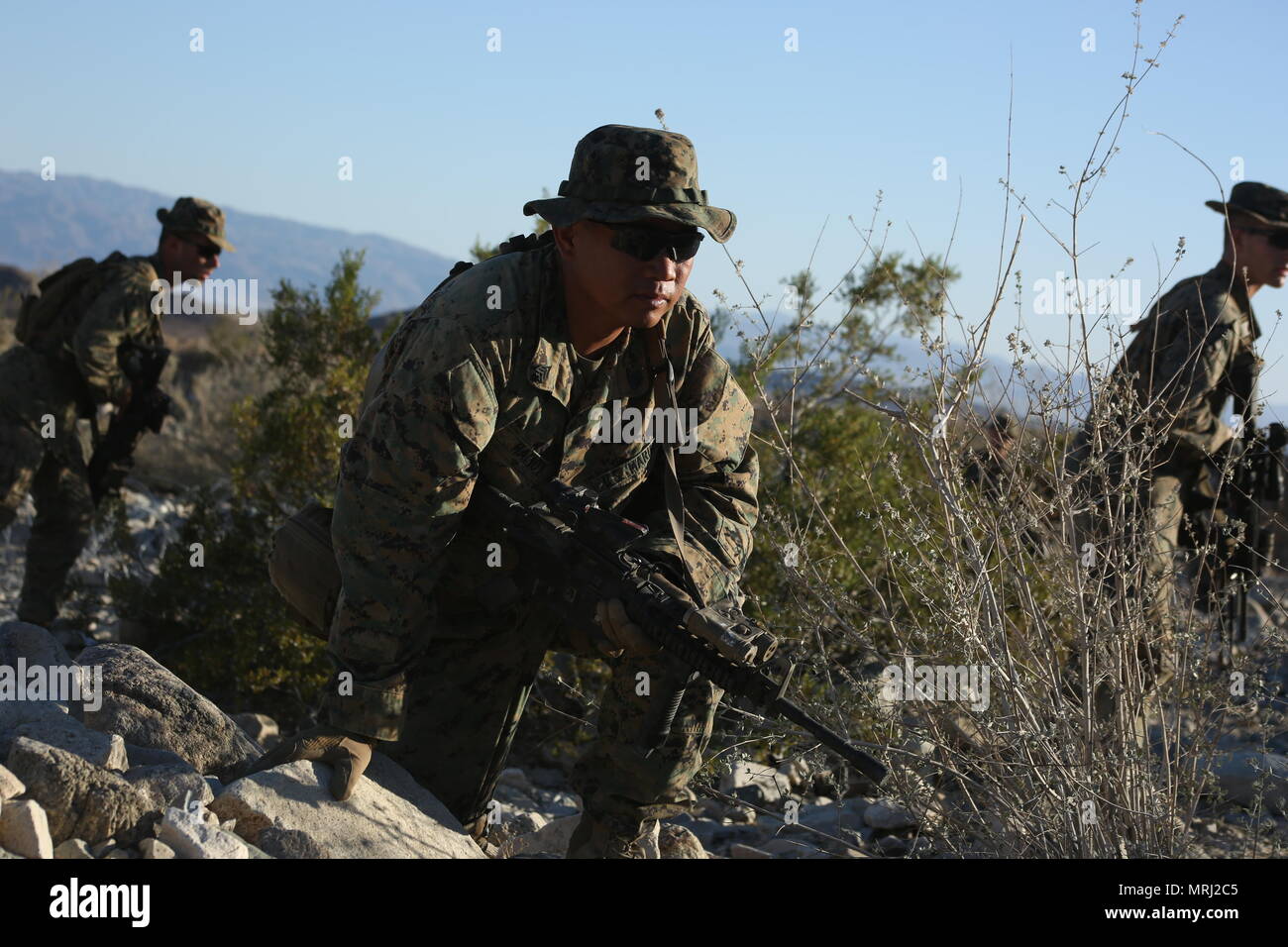 Hamoy hi-res stock photography and images - Alamy