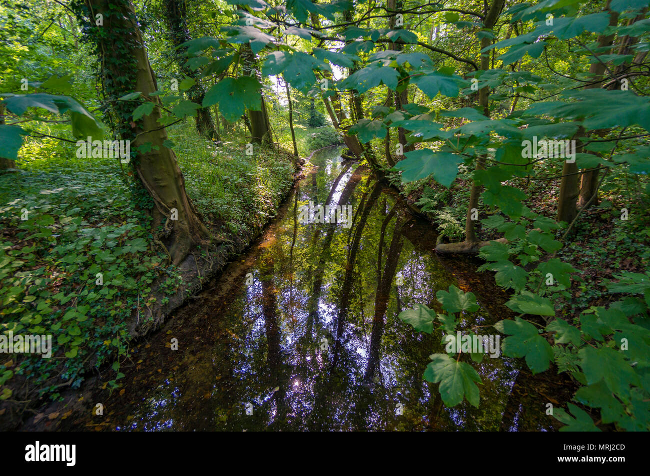 De Haagse beek Stock Photo - Alamy
