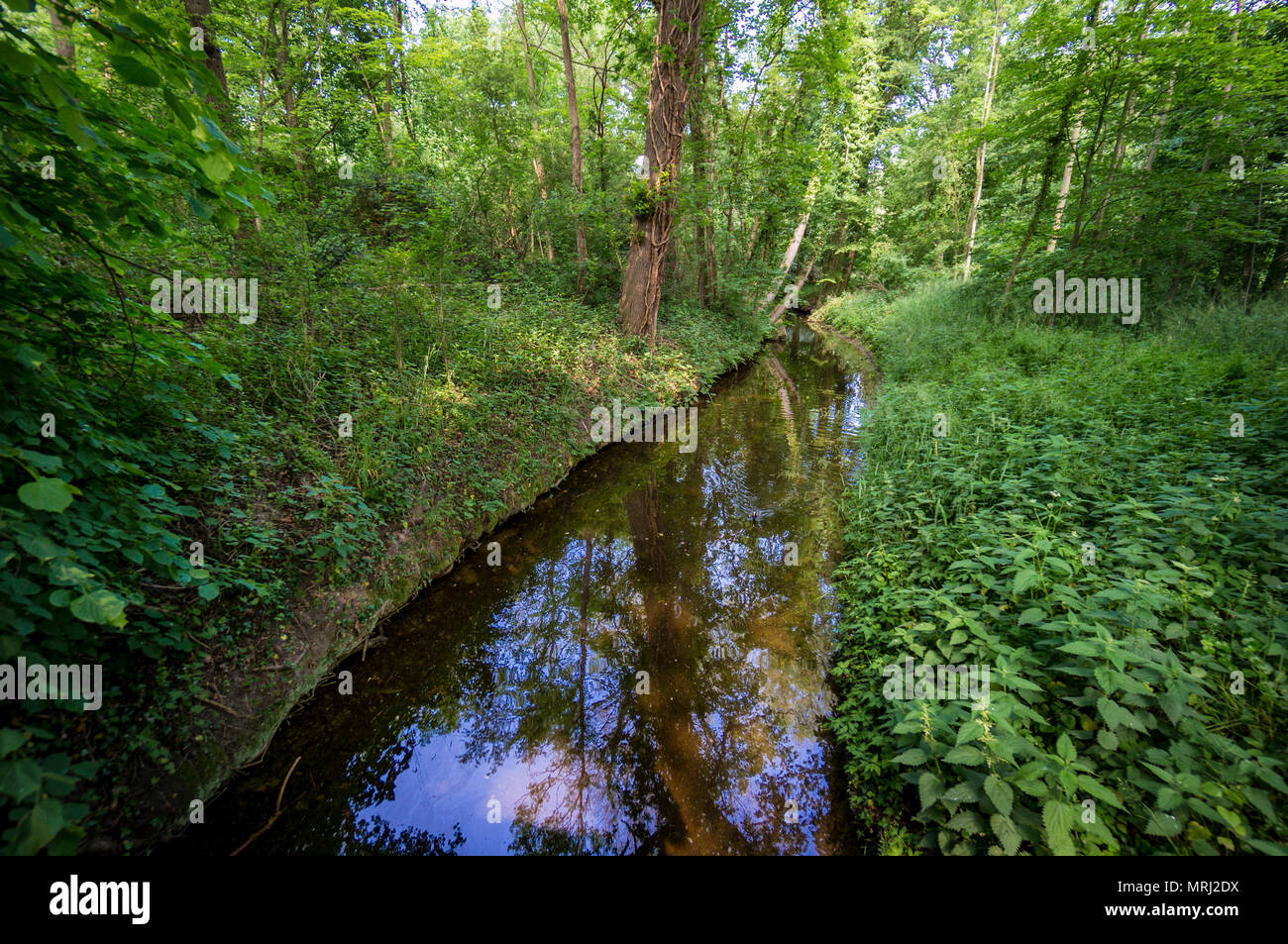 De Haagse beek Stock Photo - Alamy