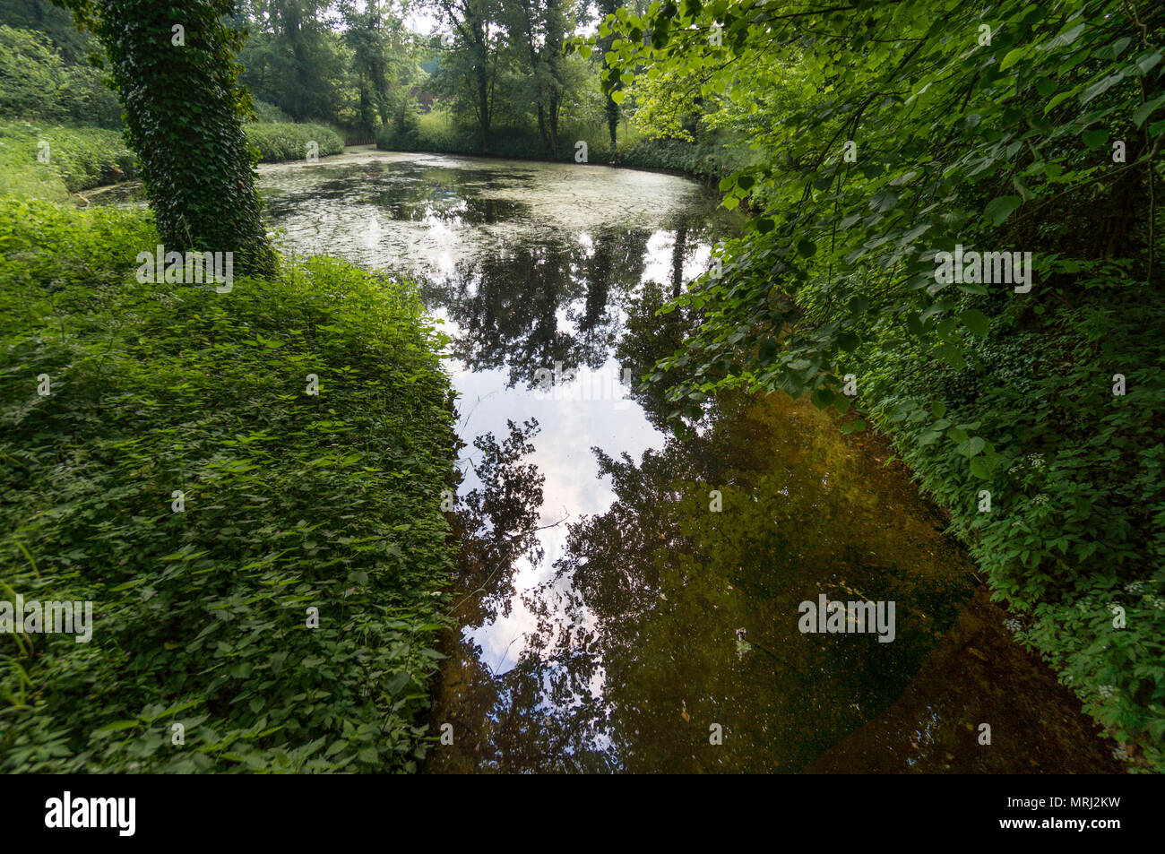 De Haagse beek Stock Photo - Alamy