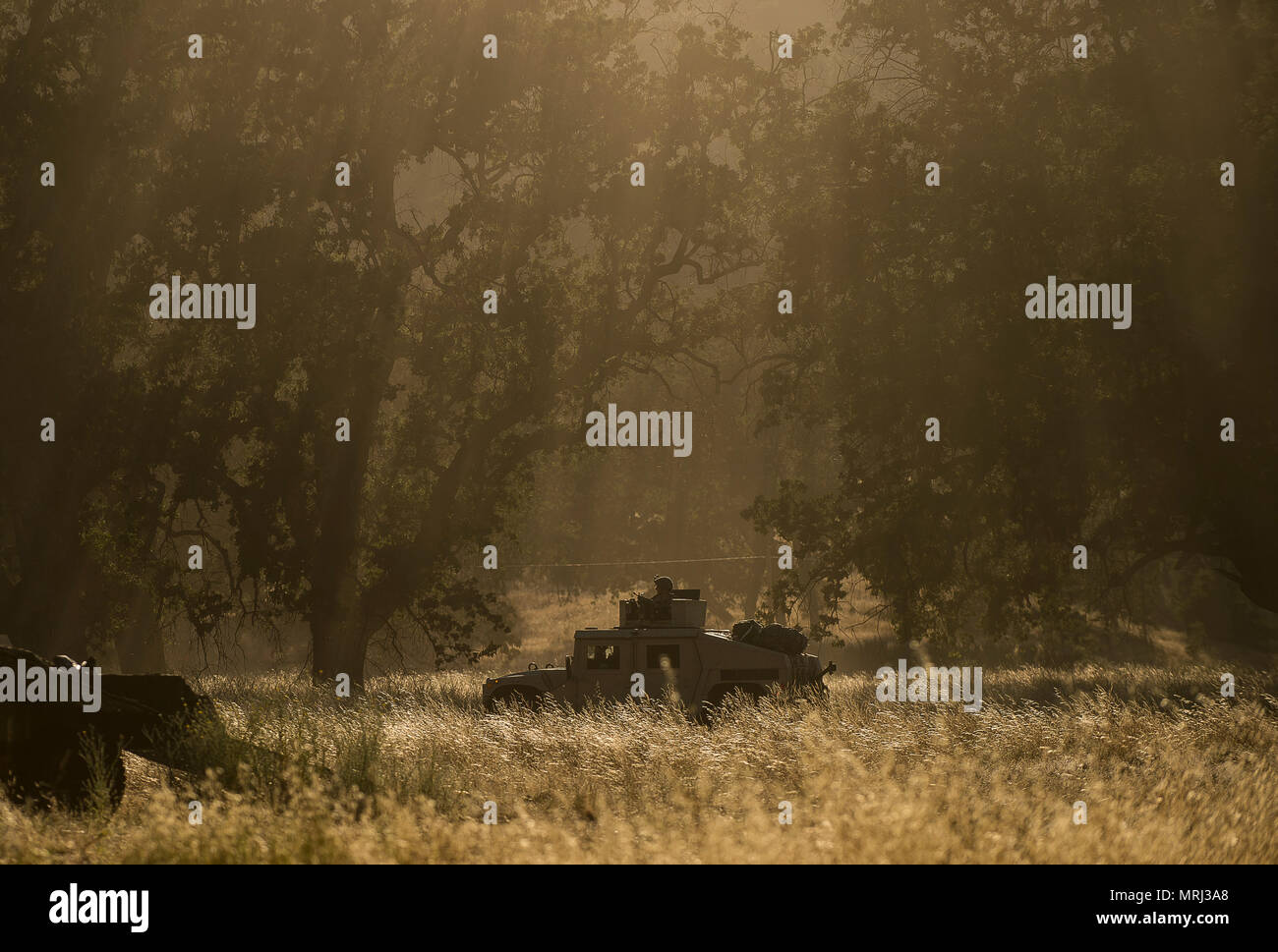 On June 19, 2017, U.S. Army Reserve Soldiers from the 339th Military ...