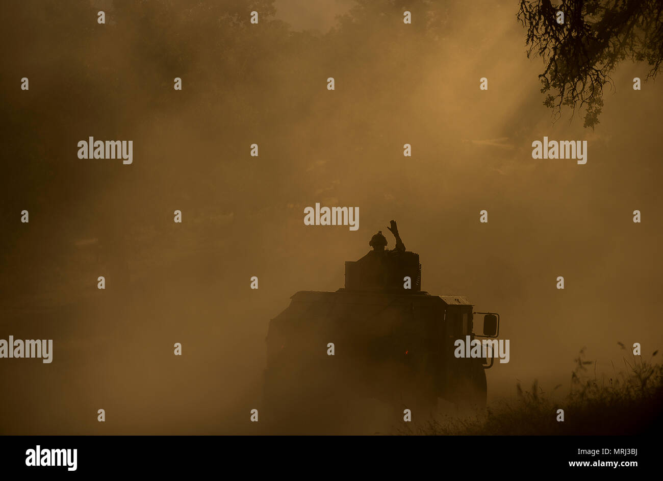 U.S. Army Reserve Soldiers from the 339th Military Police Company ...