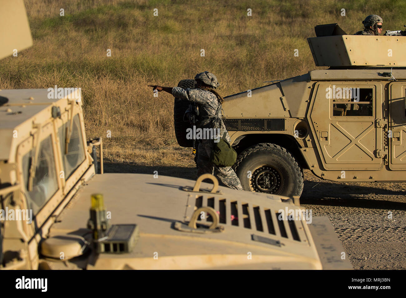 A U.S. Army Reserve military police Soldier from the 339th Military ...