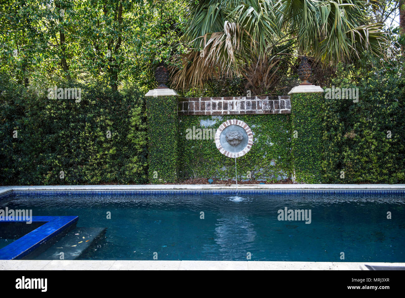 Ivy tree garden hi-res stock photography and images - Alamy