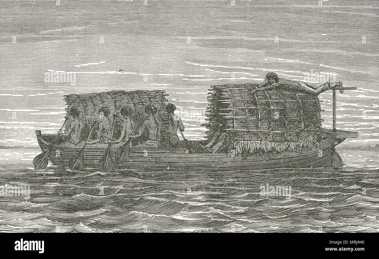 Broad paddles hi-res stock photography and images - Alamy