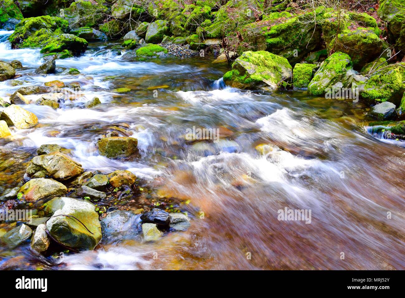 River run hi-res stock photography and images - Alamy