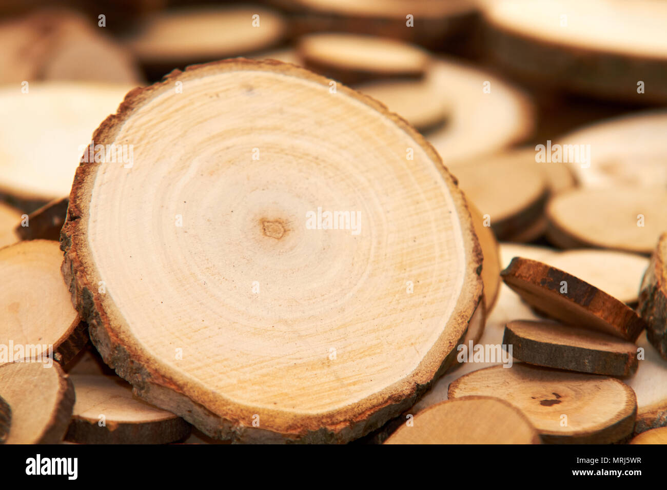 Cross section plant student hi-res stock photography and images - Alamy