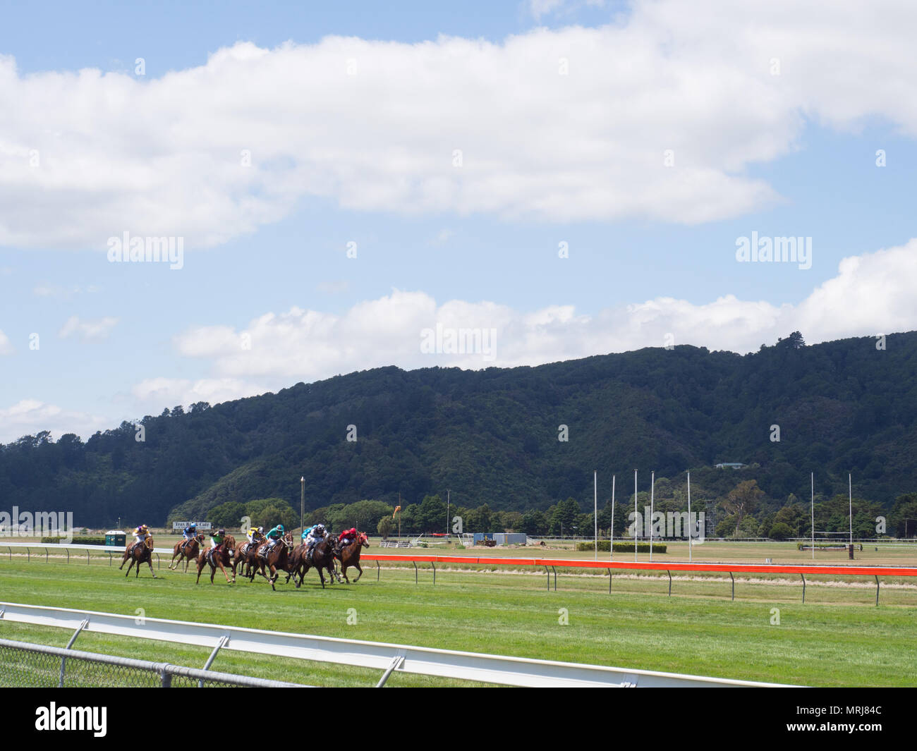 Trentham racecourse hi-res stock photography and images - Alamy