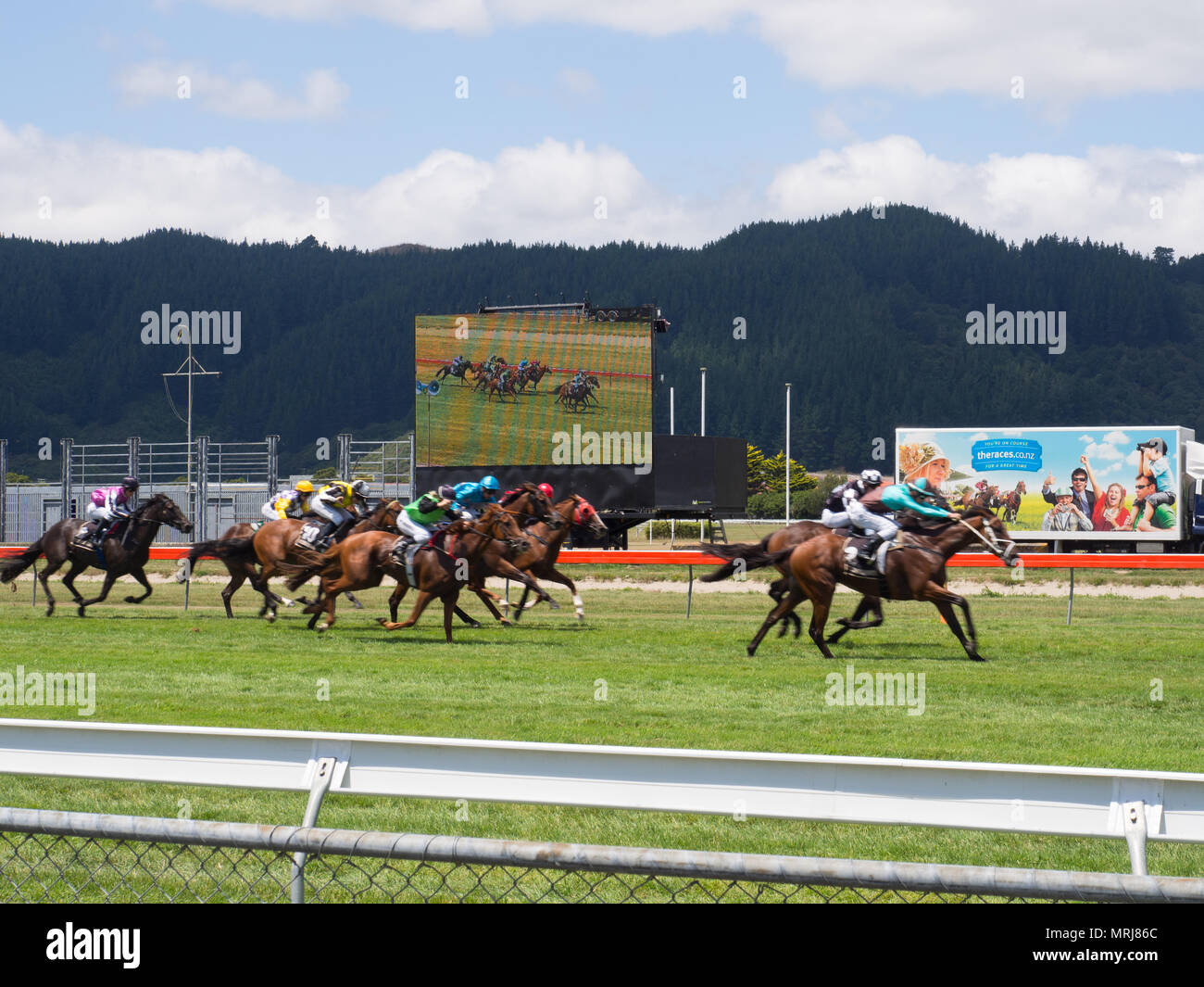 Trentham racecourse hi-res stock photography and images - Alamy