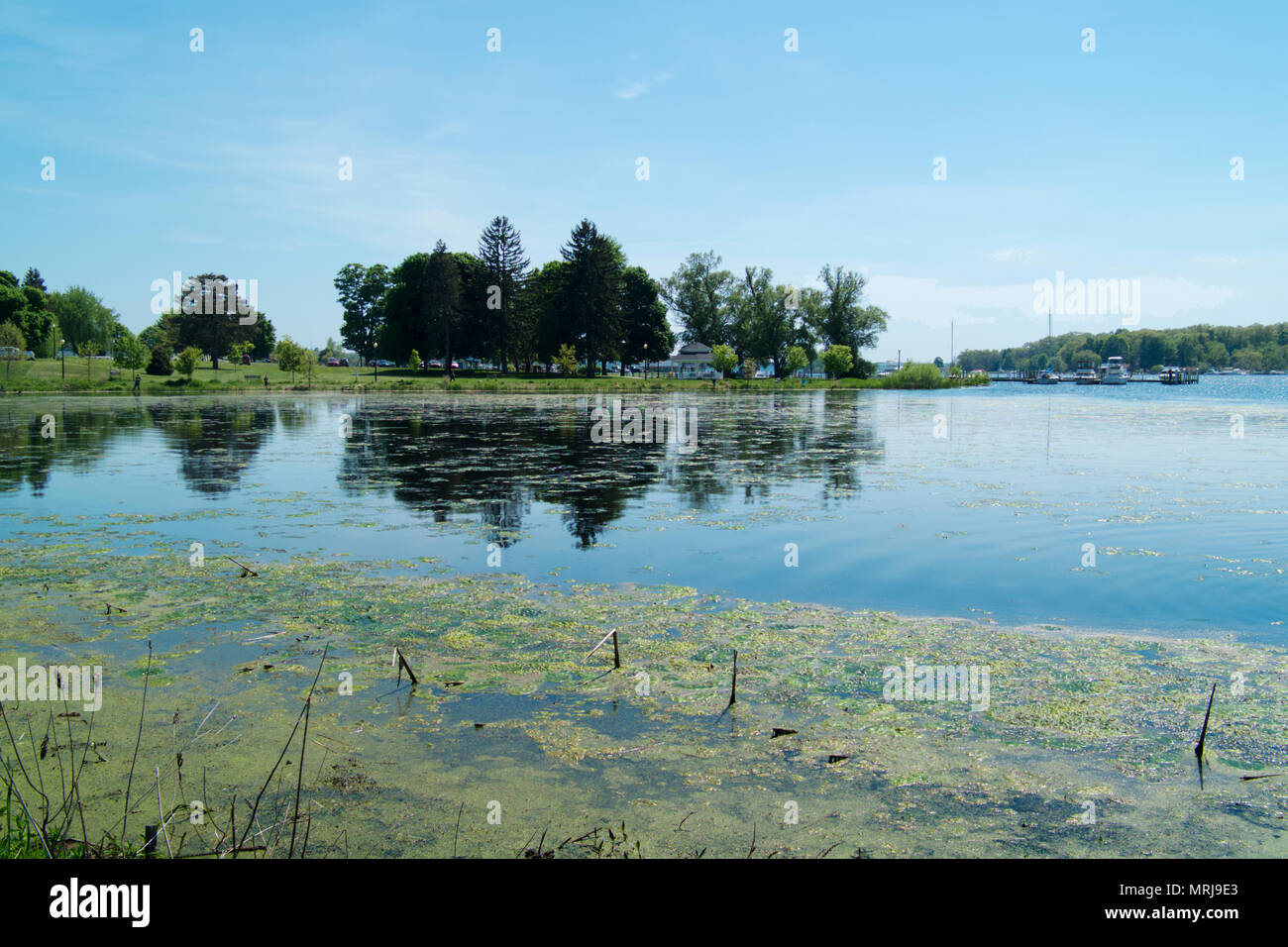 The White River delta as it empties into White Lake at Whitehall ...