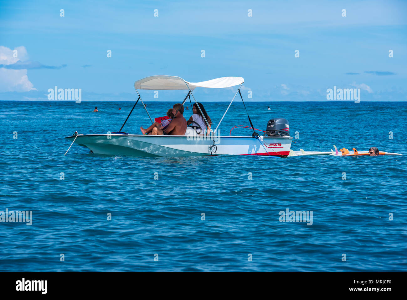 Moorea, French Polynesia--March 17, 2018. People are swimming and ...