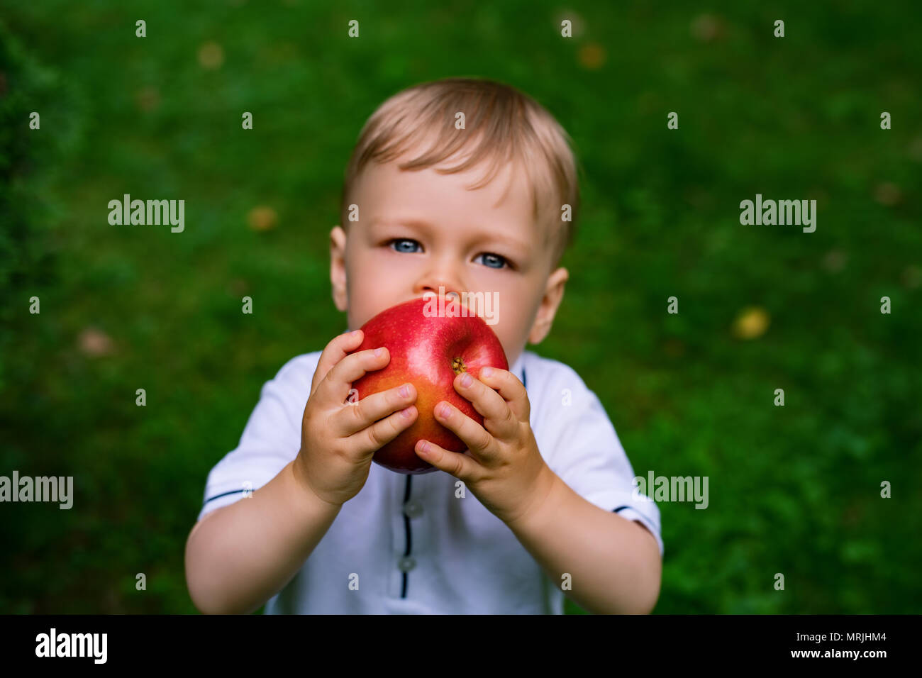 One year child eating big red apple outdoors. Focus on apple Stock ...
