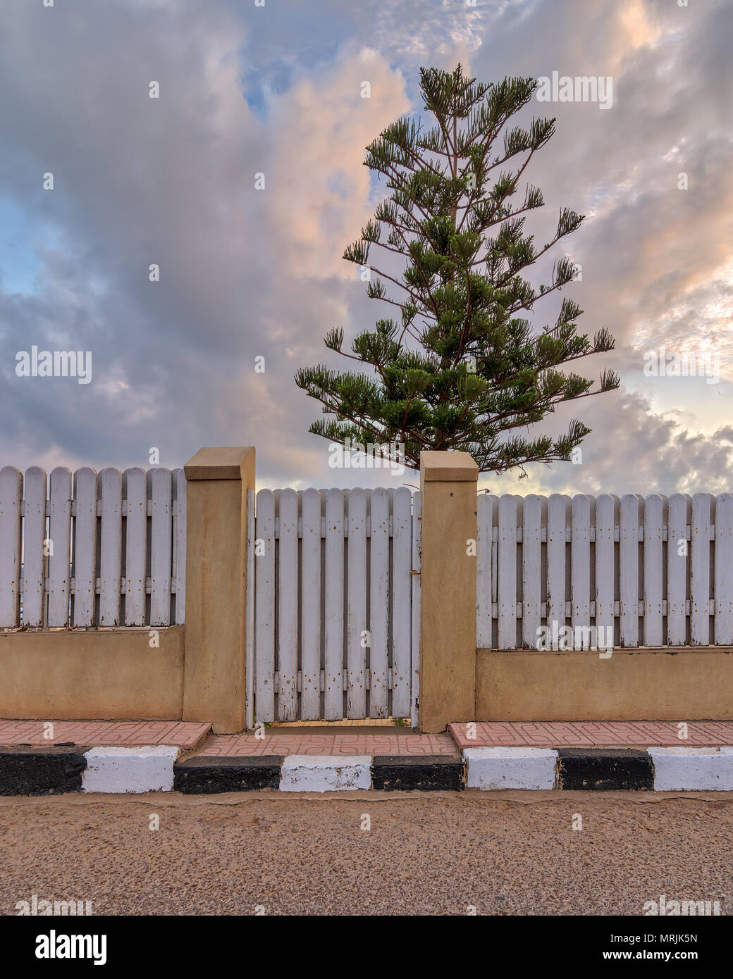 White weathered wooden garden gate and fence with background of single ...