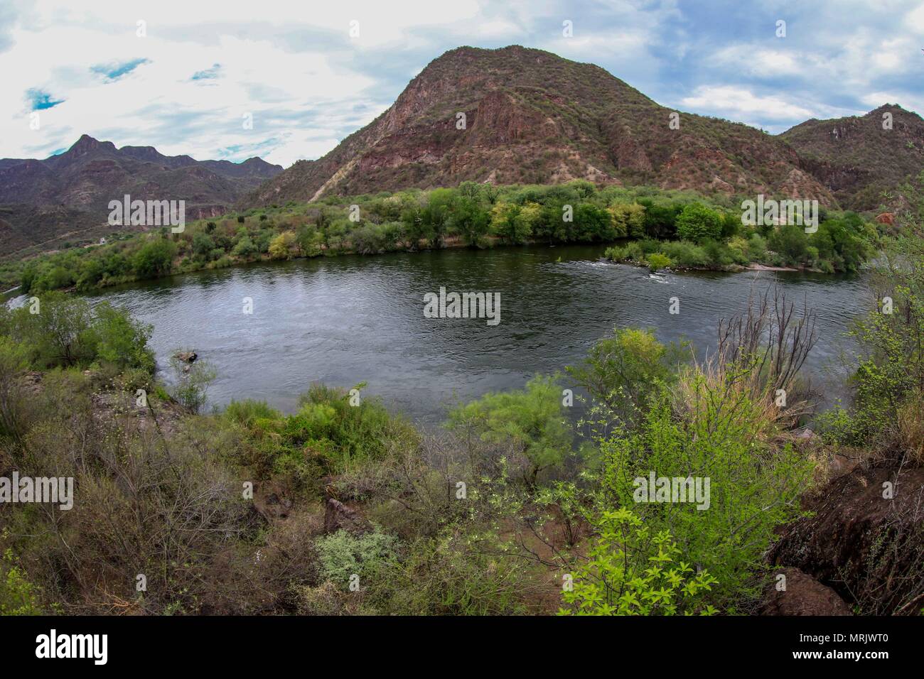 great flow of millions of cubic meters of water from the Yaqui River ...