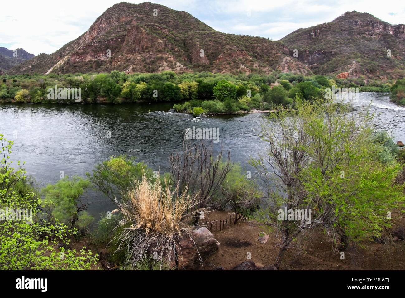 great flow of millions of cubic meters of water from the Yaqui River ...