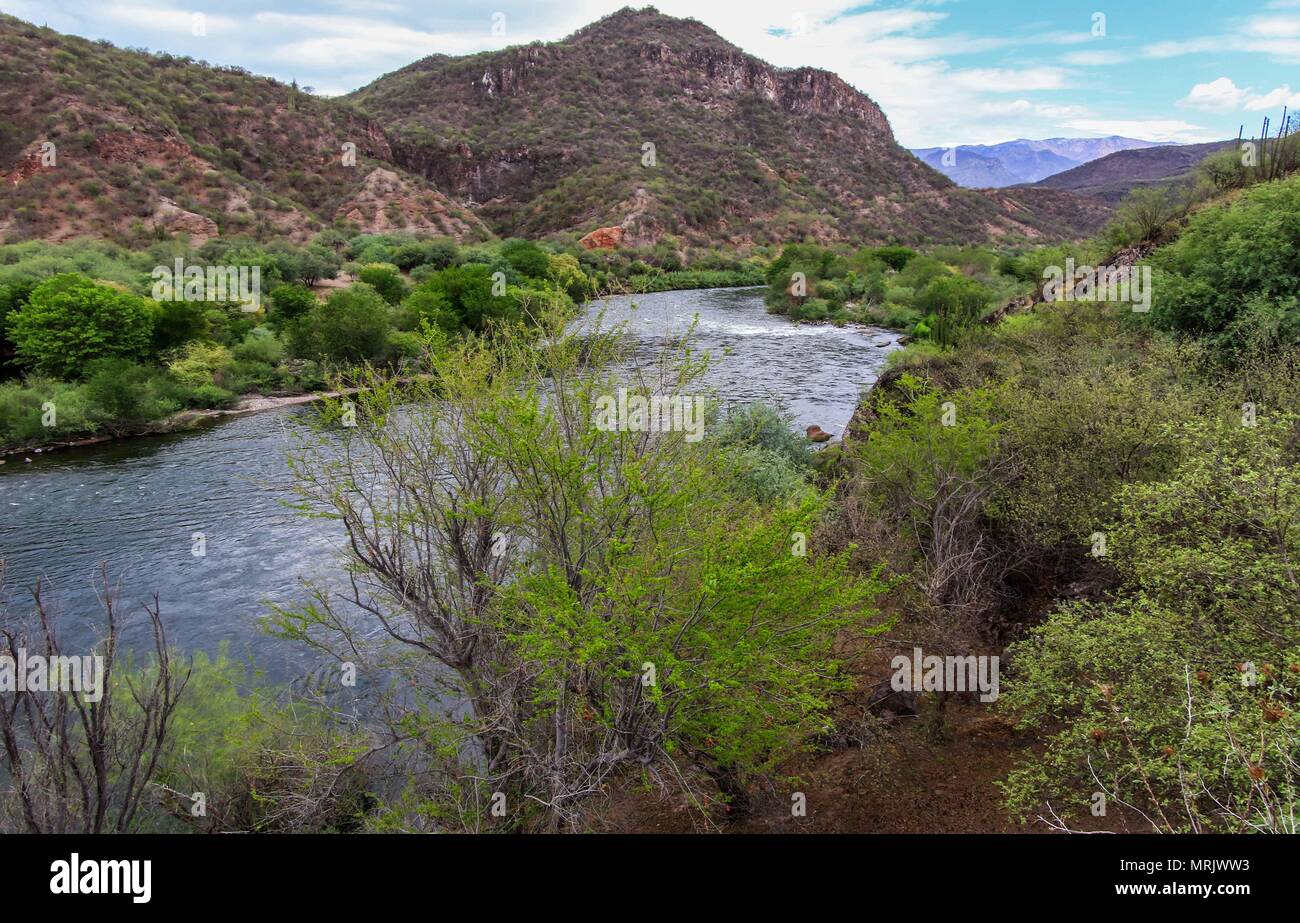 great flow of millions of cubic meters of water from the Yaqui River ...
