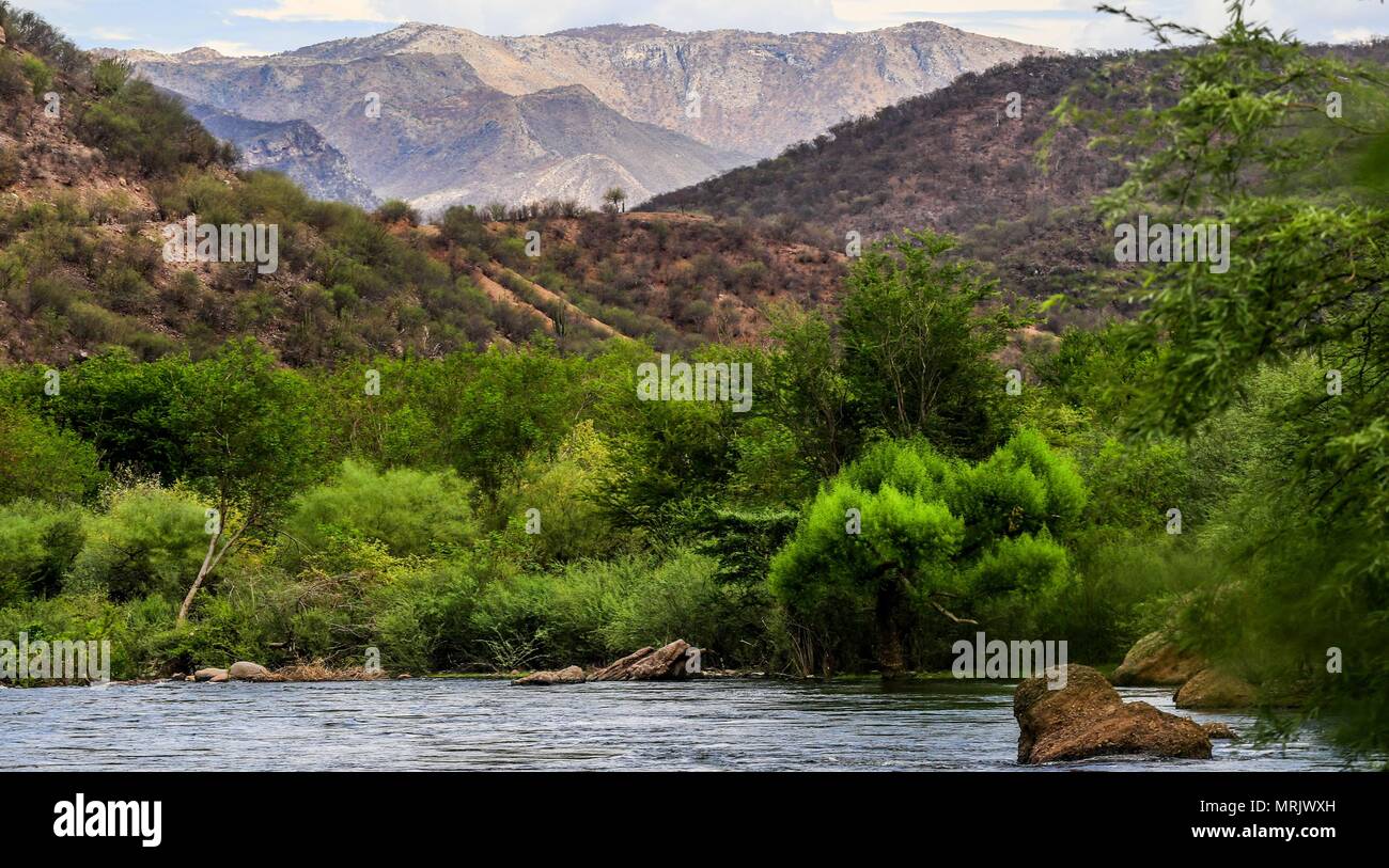 great flow of millions of cubic meters of water from the Yaqui River ...