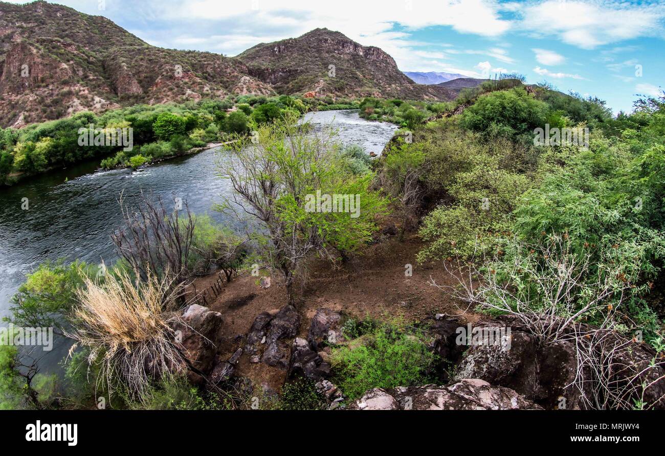 great flow of millions of cubic meters of water from the Yaqui River ...