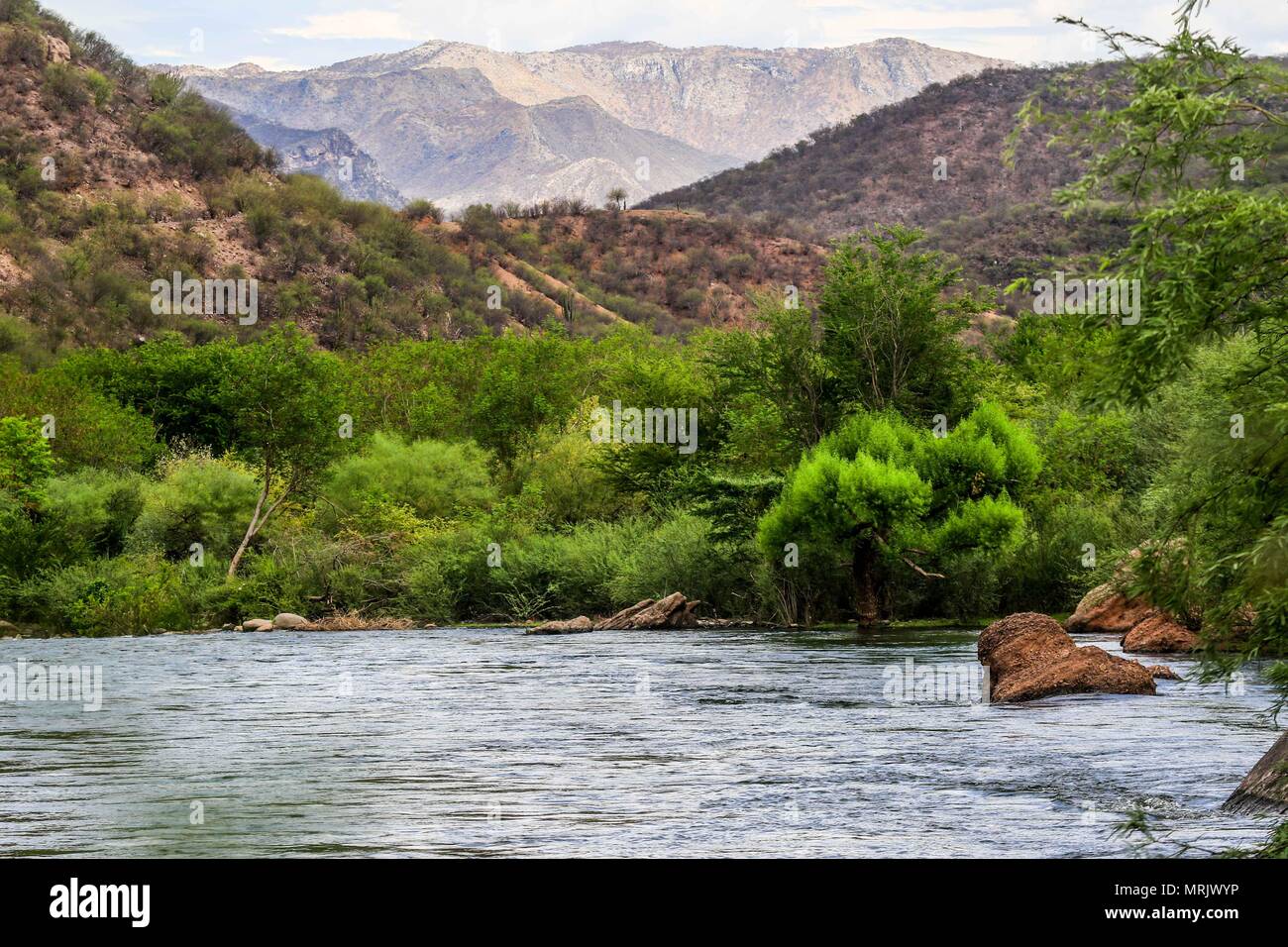 great flow of millions of cubic meters of water from the Yaqui River ...