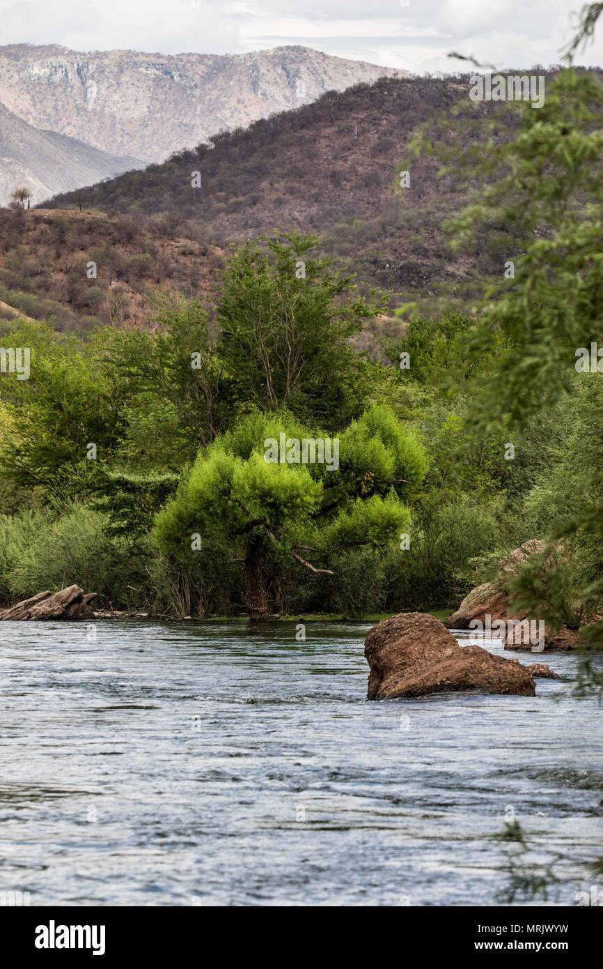 great flow of millions of cubic meters of water from the Yaqui River ...